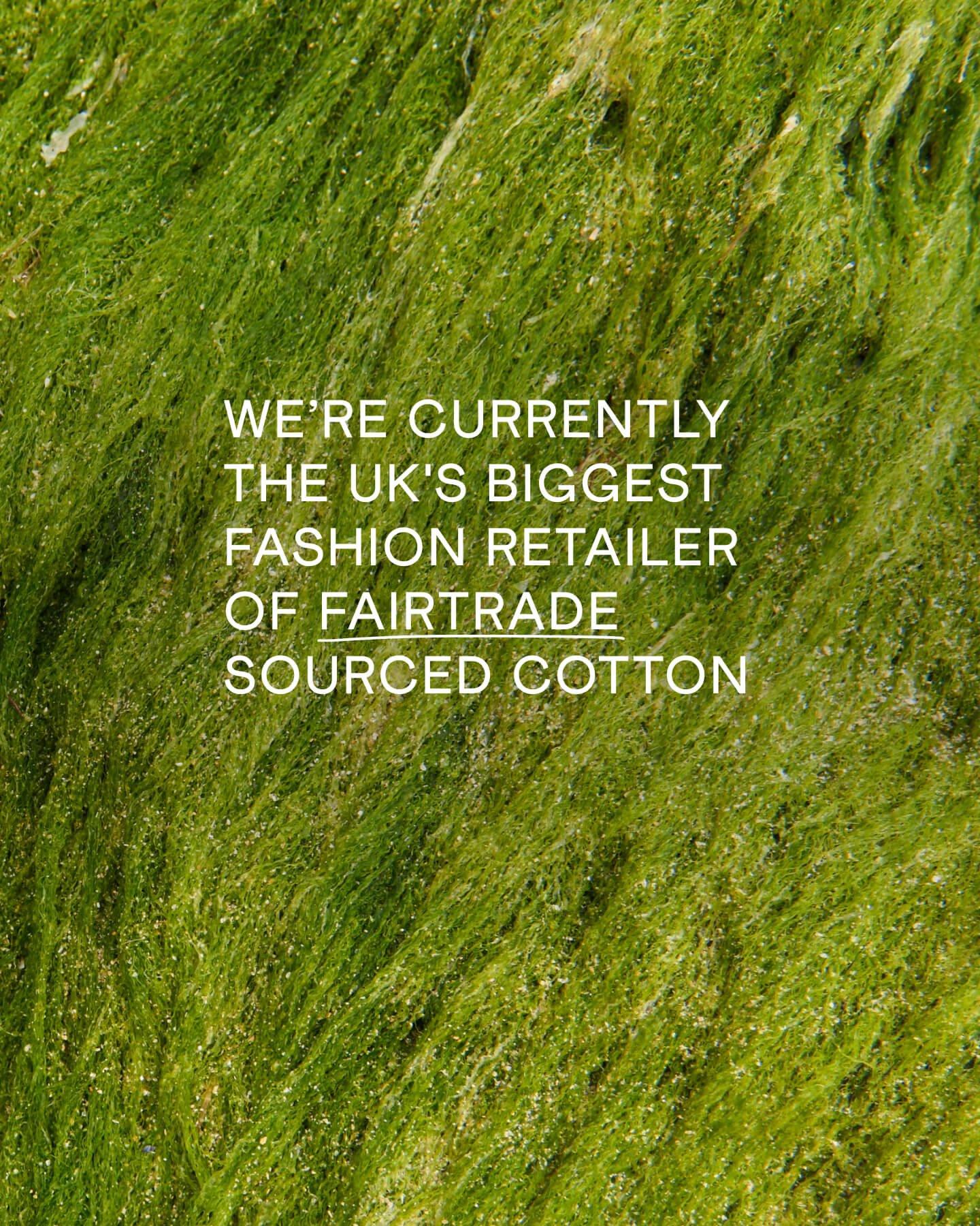 Clothing, Accessories, Gifts & Homeware | White Stuff